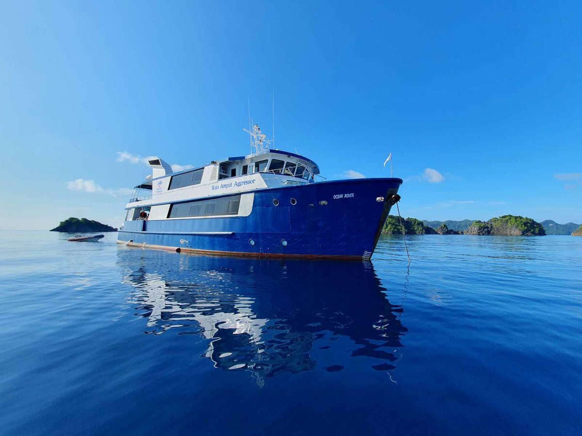 Photo Gallery – Ocean Rover Liveaboard